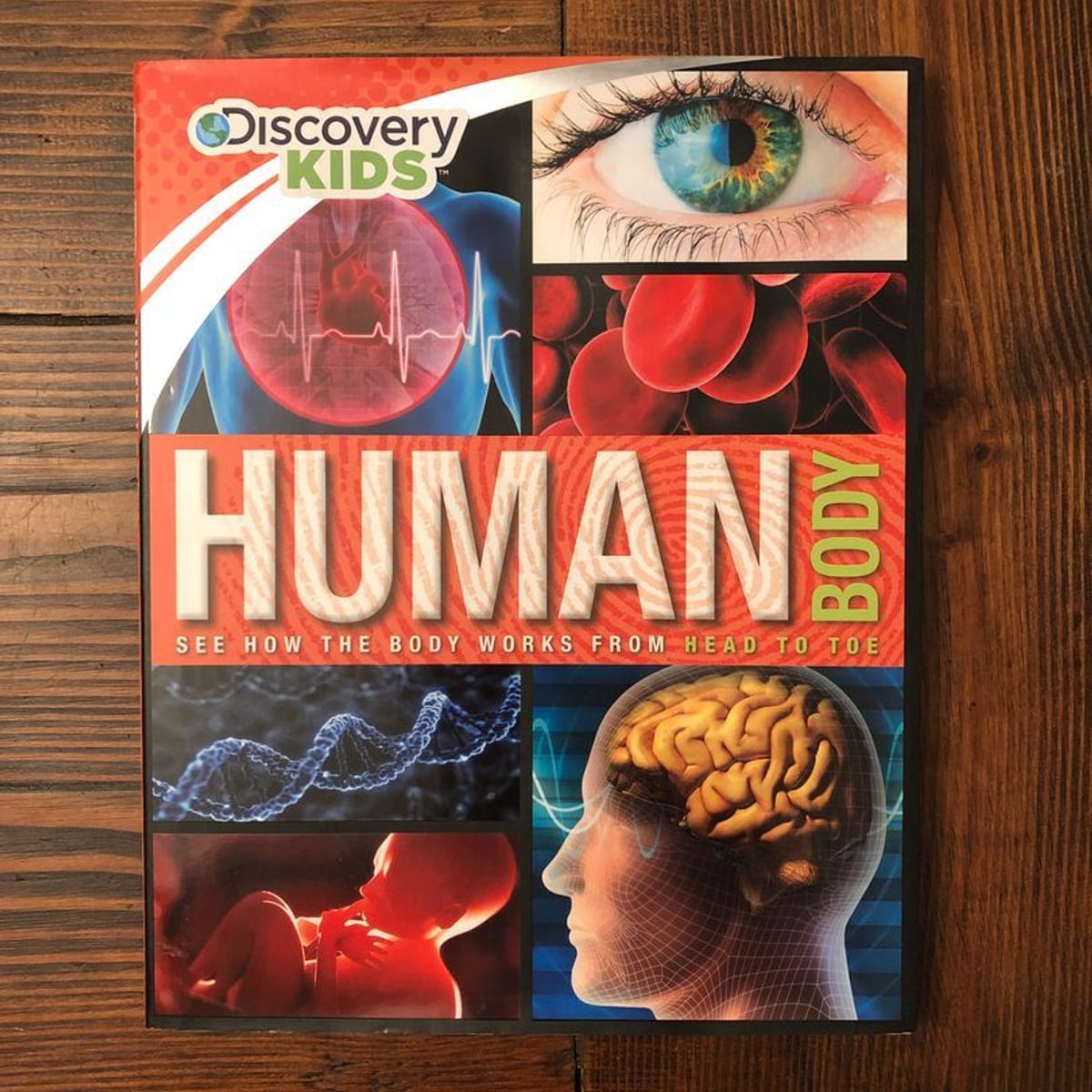 Discovery Kids Human Body by Parragon