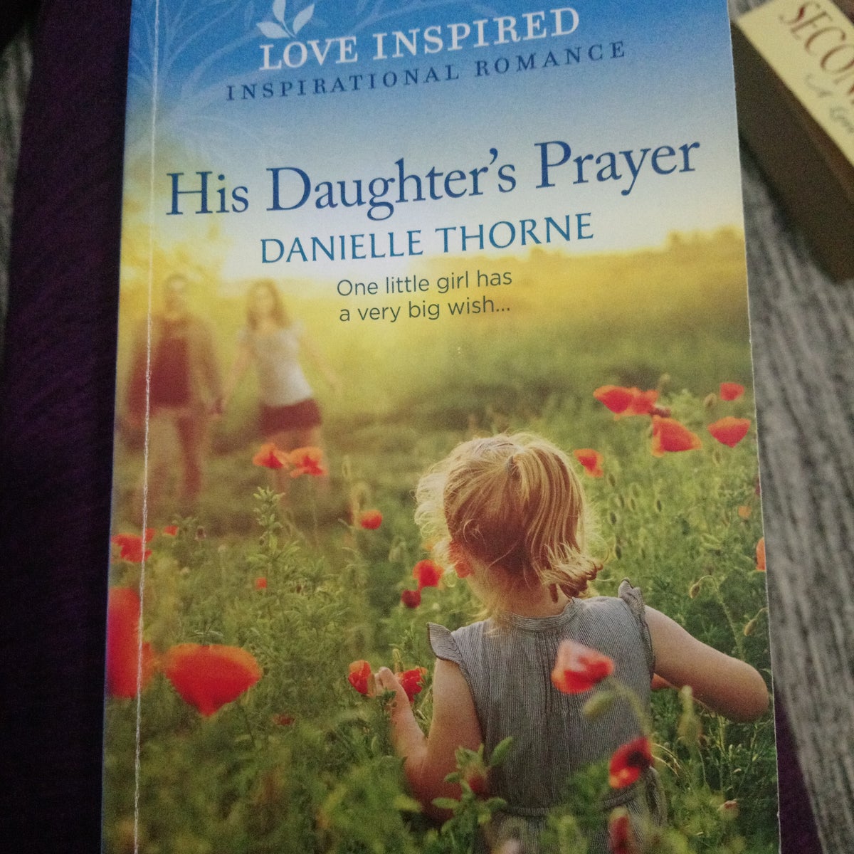 His Daughter's Prayer by Danielle Thorne