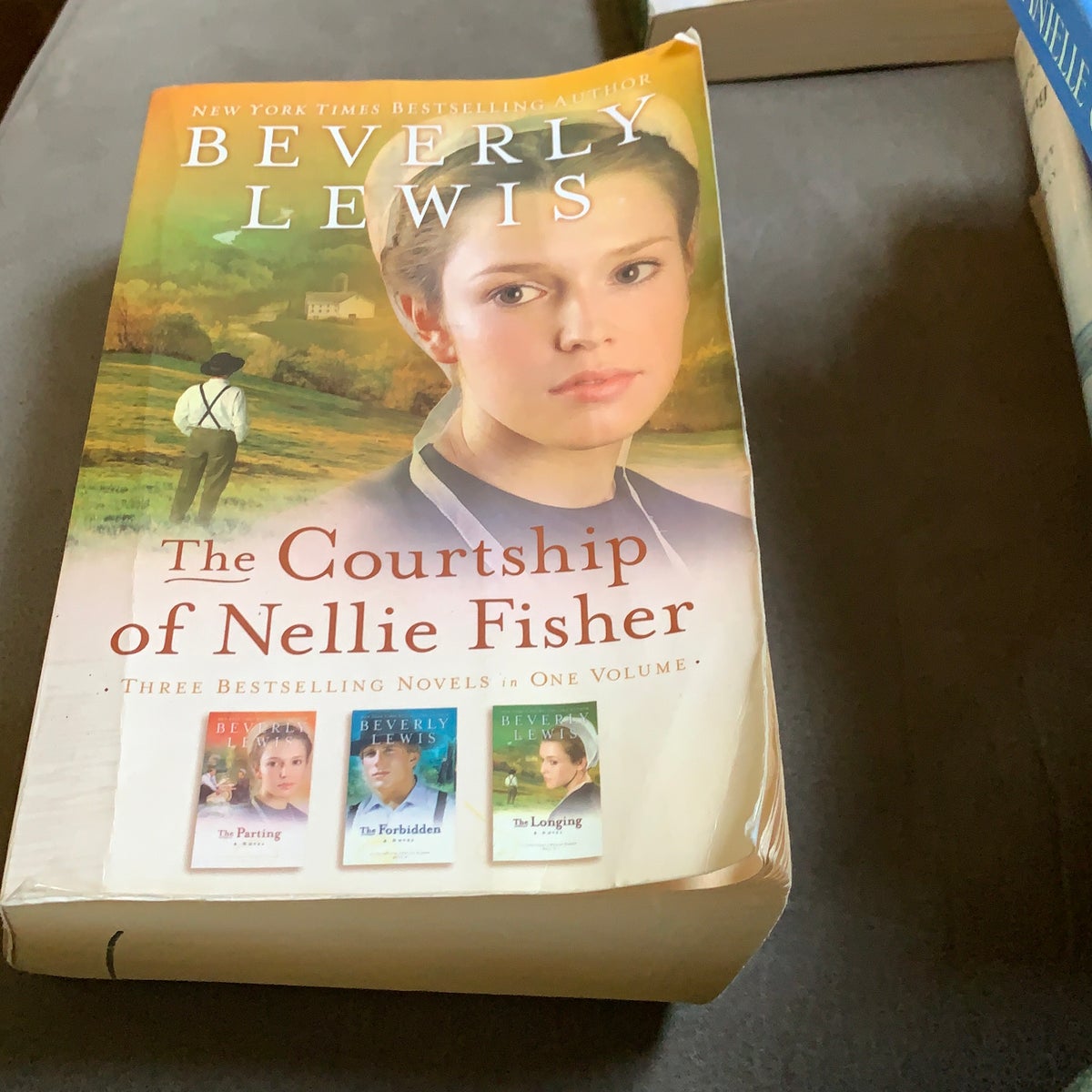 The Courtship of Nellie Fisher by Beverly Lewis | Pangobooks