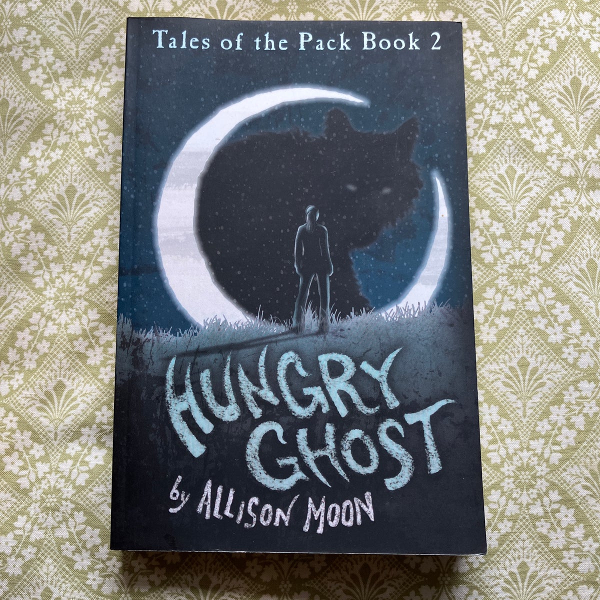 Hungry Ghost by Allison Moon