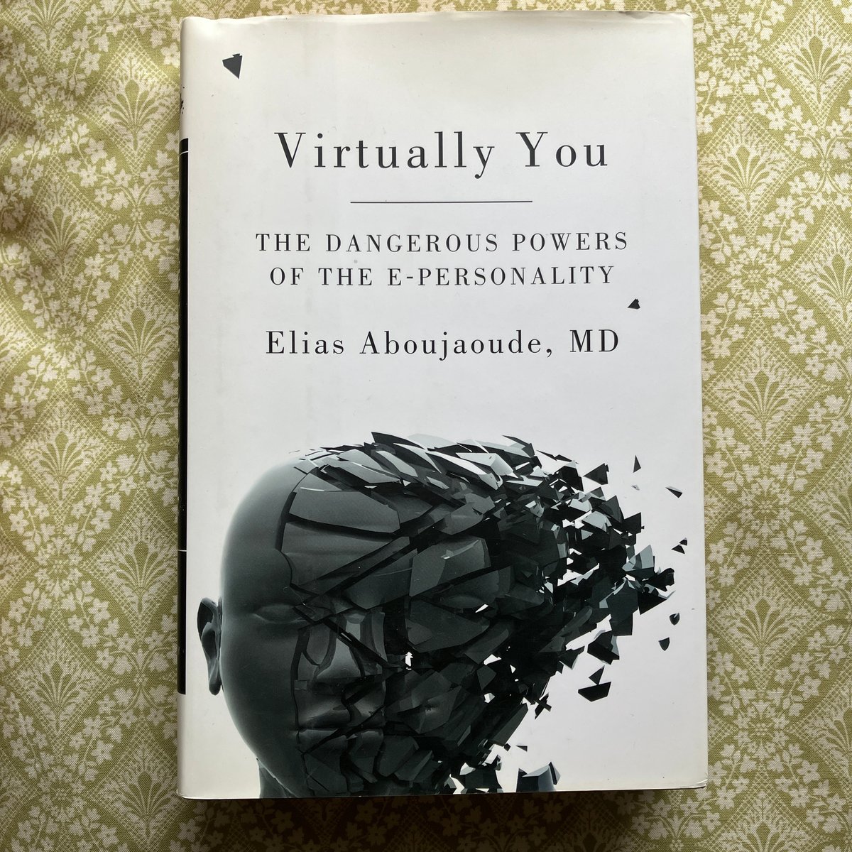 Virtually You by Elias Aboujaoude, Hardcover | Pangobooks