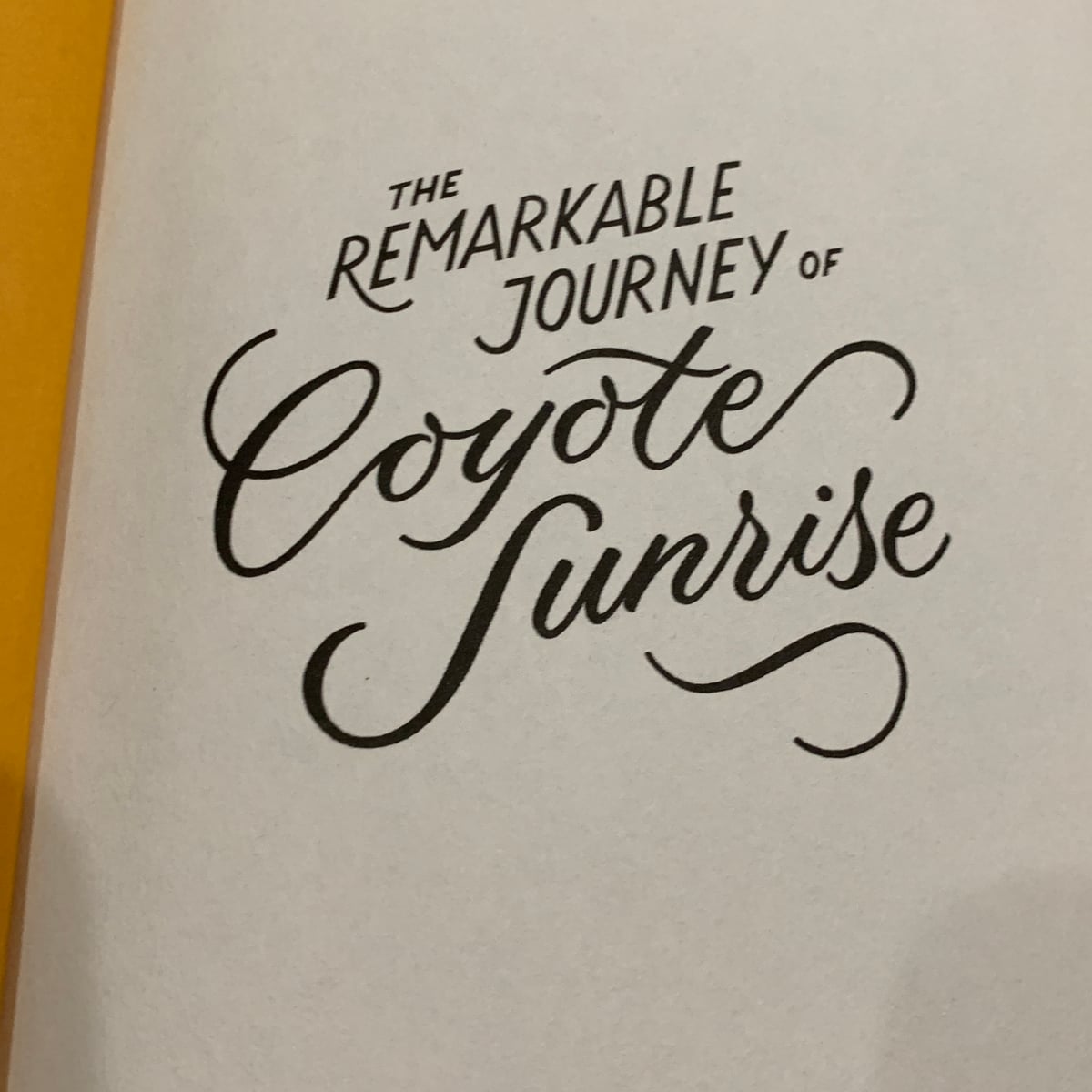 The Remarkable Journey of Coyote Sunrise by Dan Gemeinhart