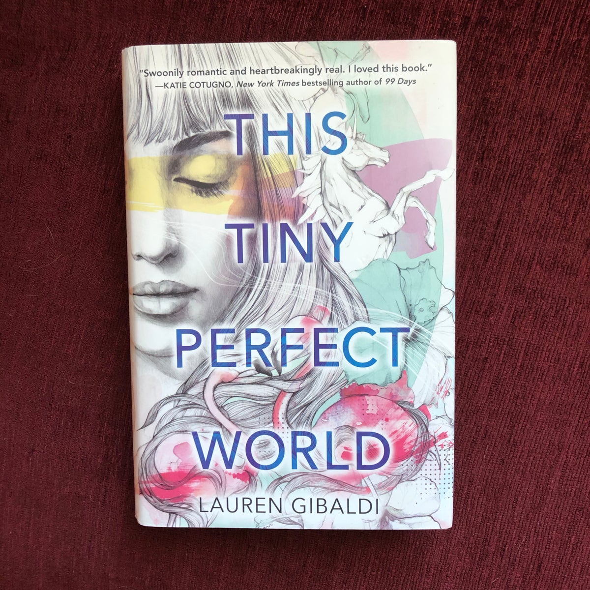 This Tiny Perfect World by Lauren Gibaldi
