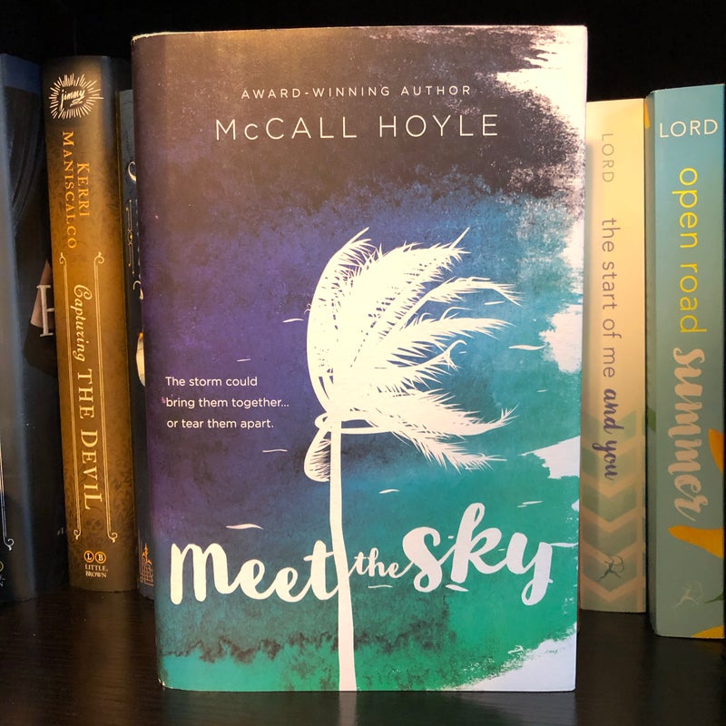 Meet the Sky by McCall Hoyle