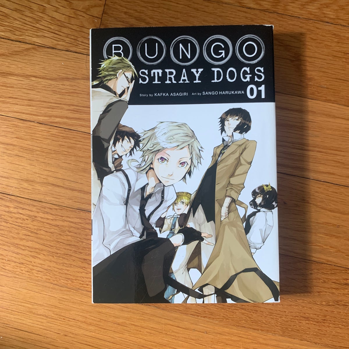 Bungo Stray Dogs, Vol. 1