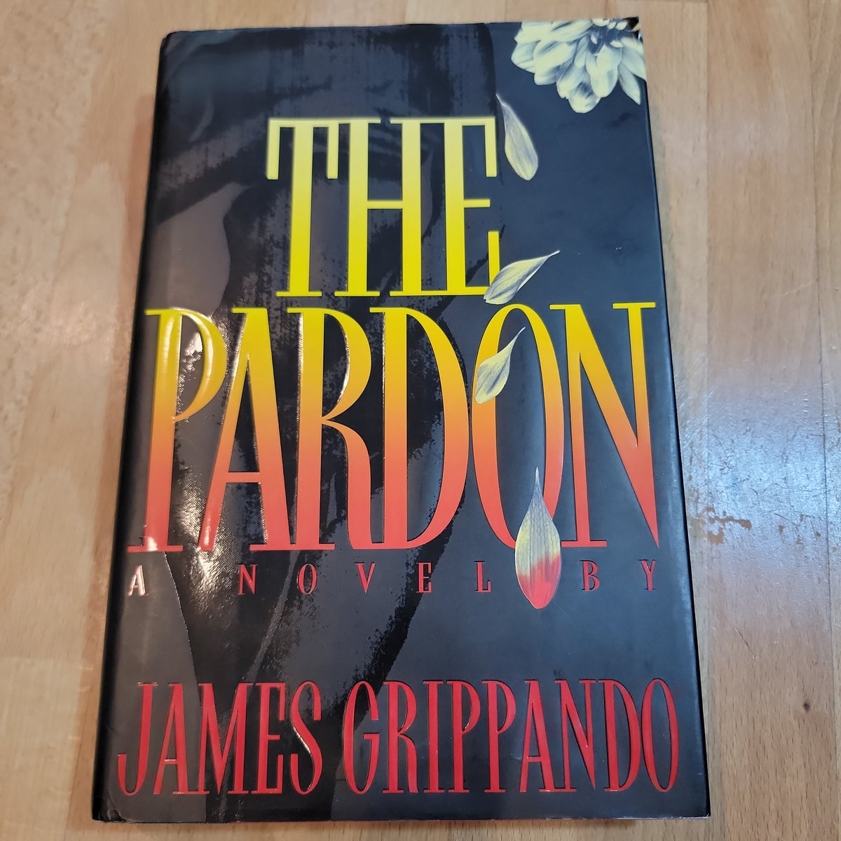 The Pardon by James Grippando