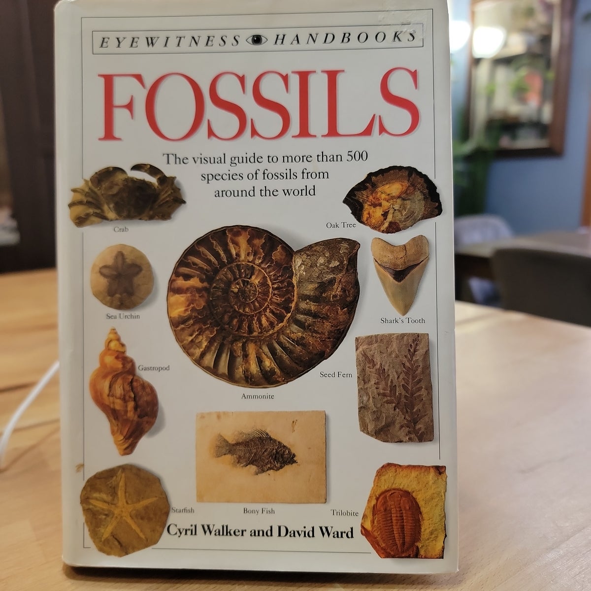 Handbooks: Fossils by David Ward