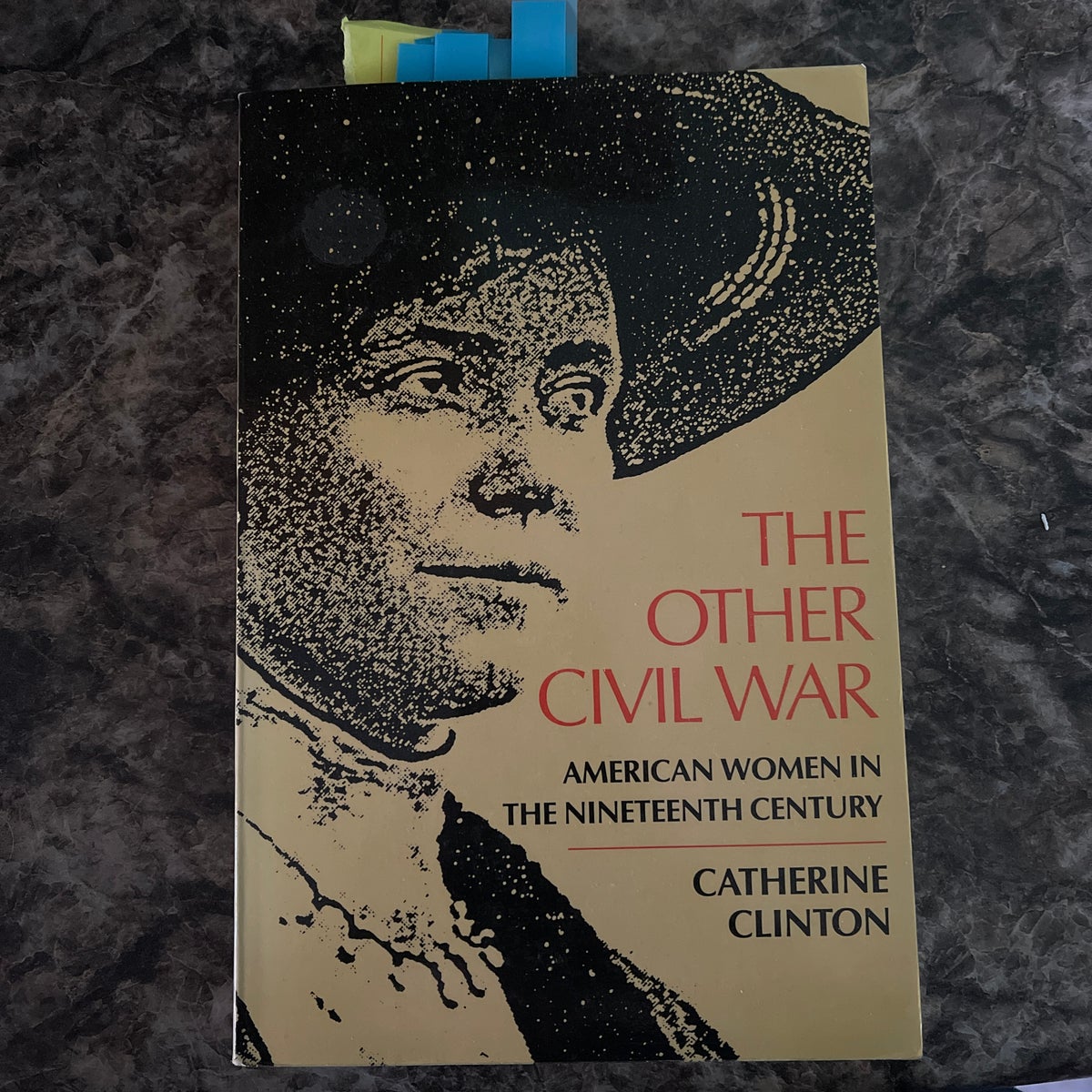 The Other Civil War by Catherine Clinton