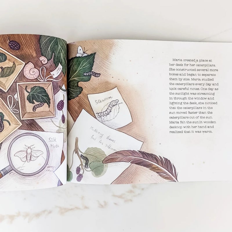 The Story of Maria Merian by jenny Phillips | Pangobooks