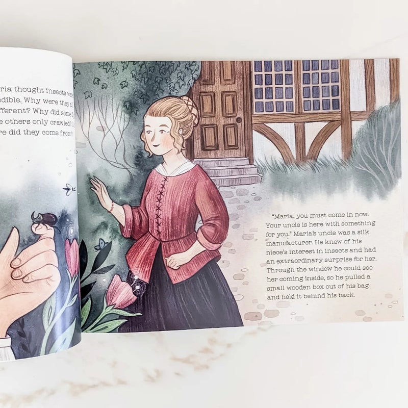 The Story of Maria Merian by jenny Phillips | Pangobooks