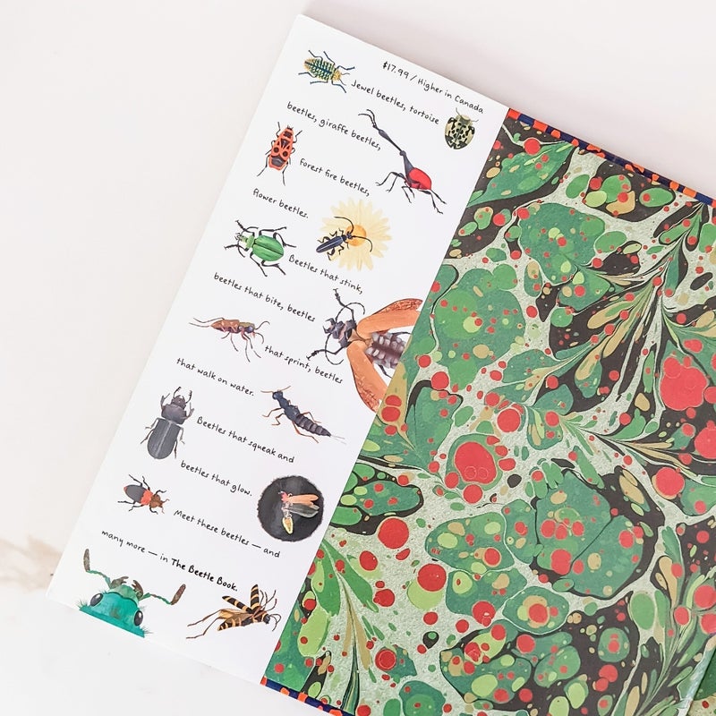 The Beetle Book by Steve Jenkins