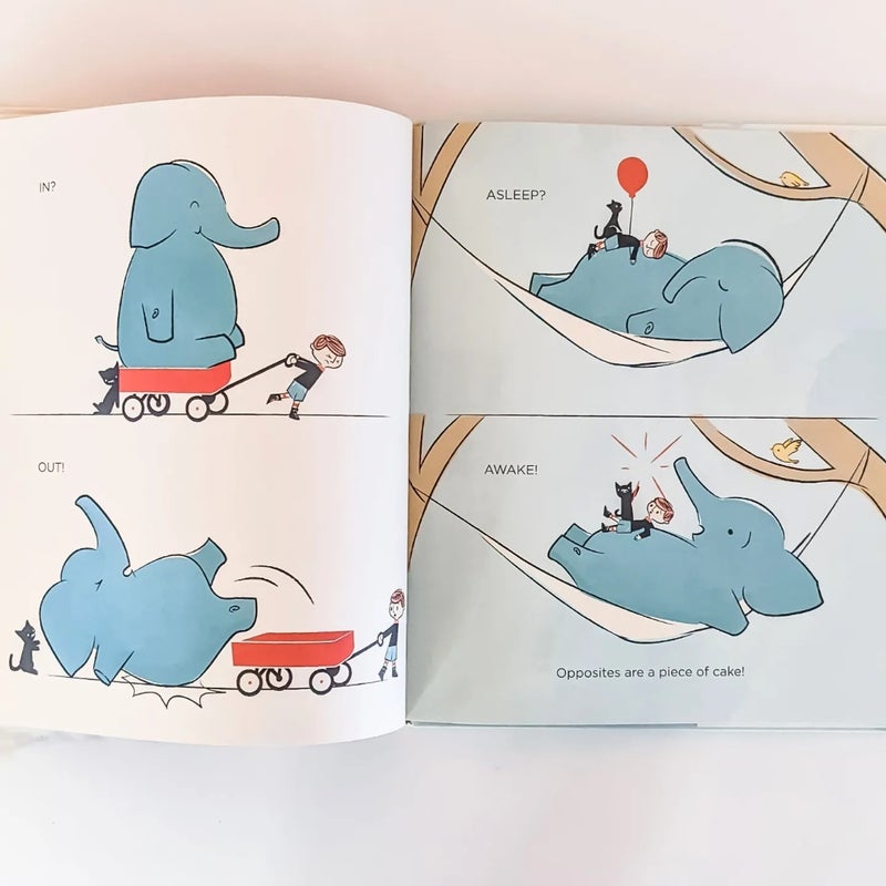 Double Take! a New Look at Opposites by Susan Hood