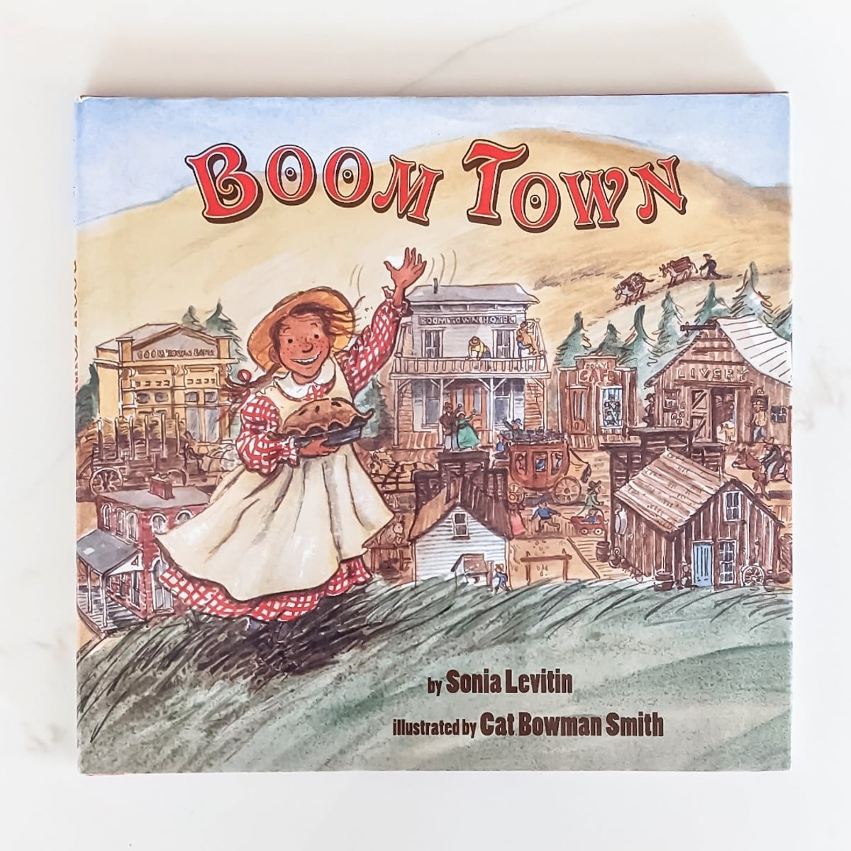 Boom Town by Sonia Levitin