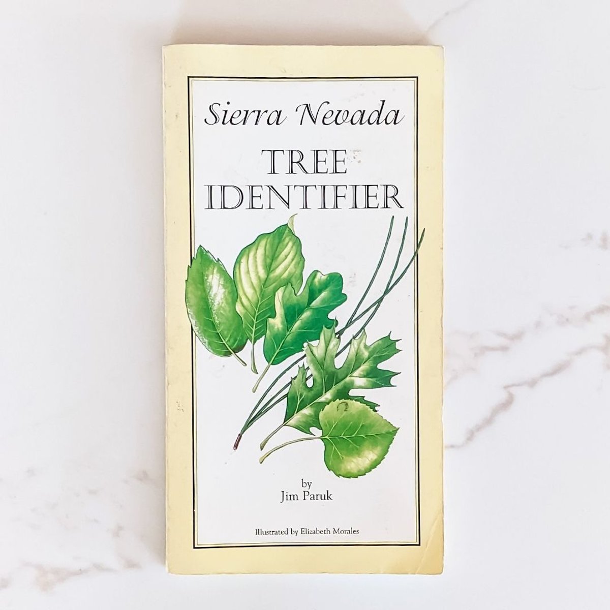 Sierra Nevada Tree Identifier by Jim Paruk