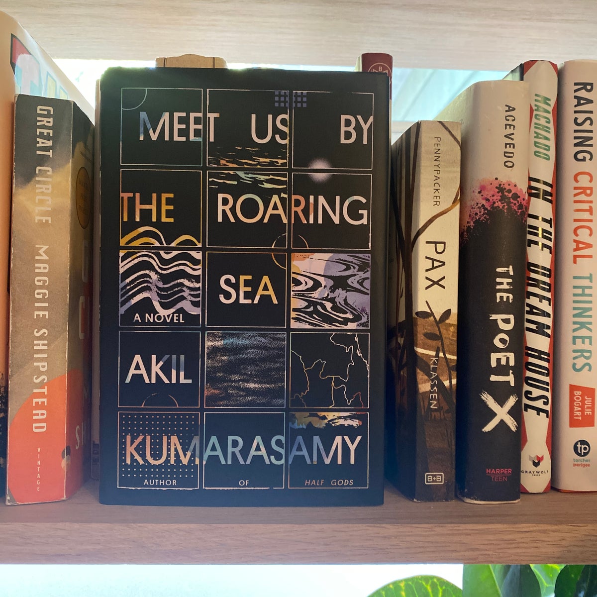 Meet Us by the Roaring Sea by Akil Kumarasamy