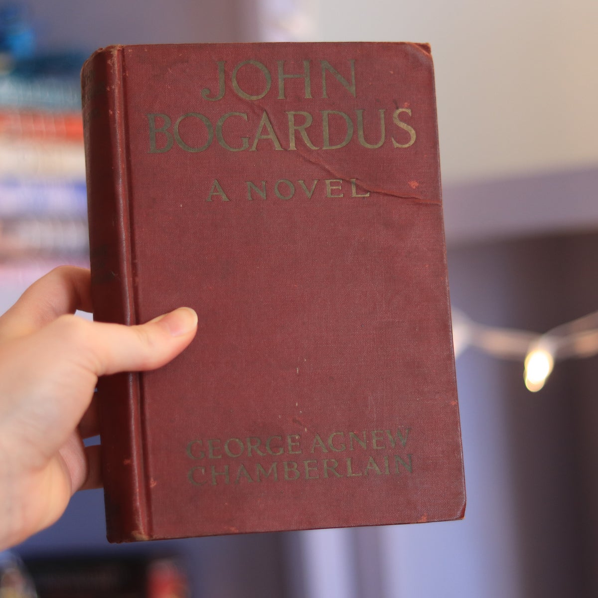 John Bogardus by George Agnew Chamberlain