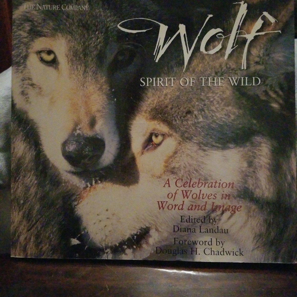 Wolf by Douglas H. Chadwick
