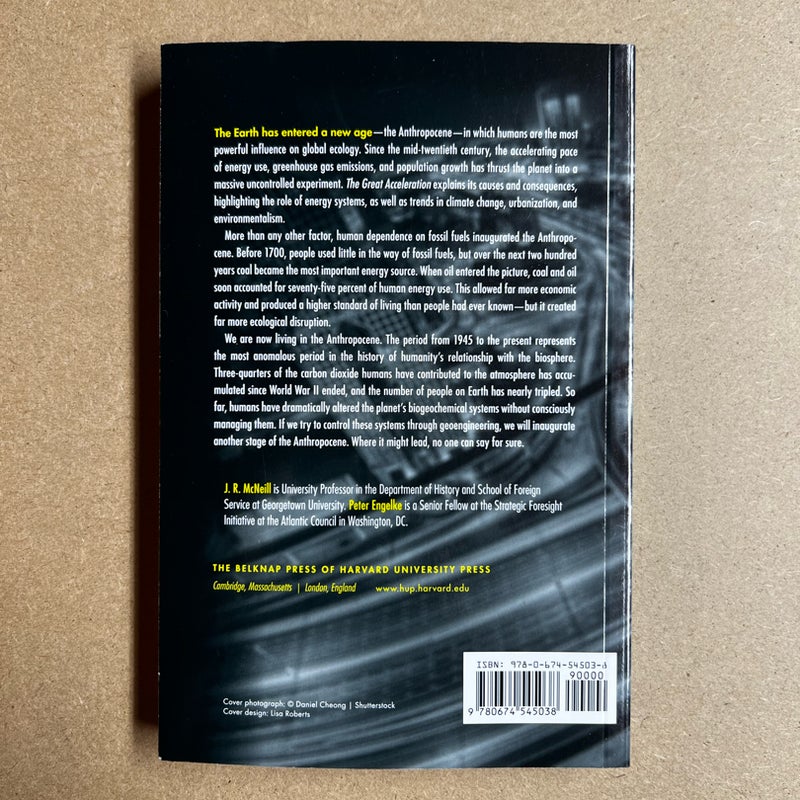 The Great Acceleration