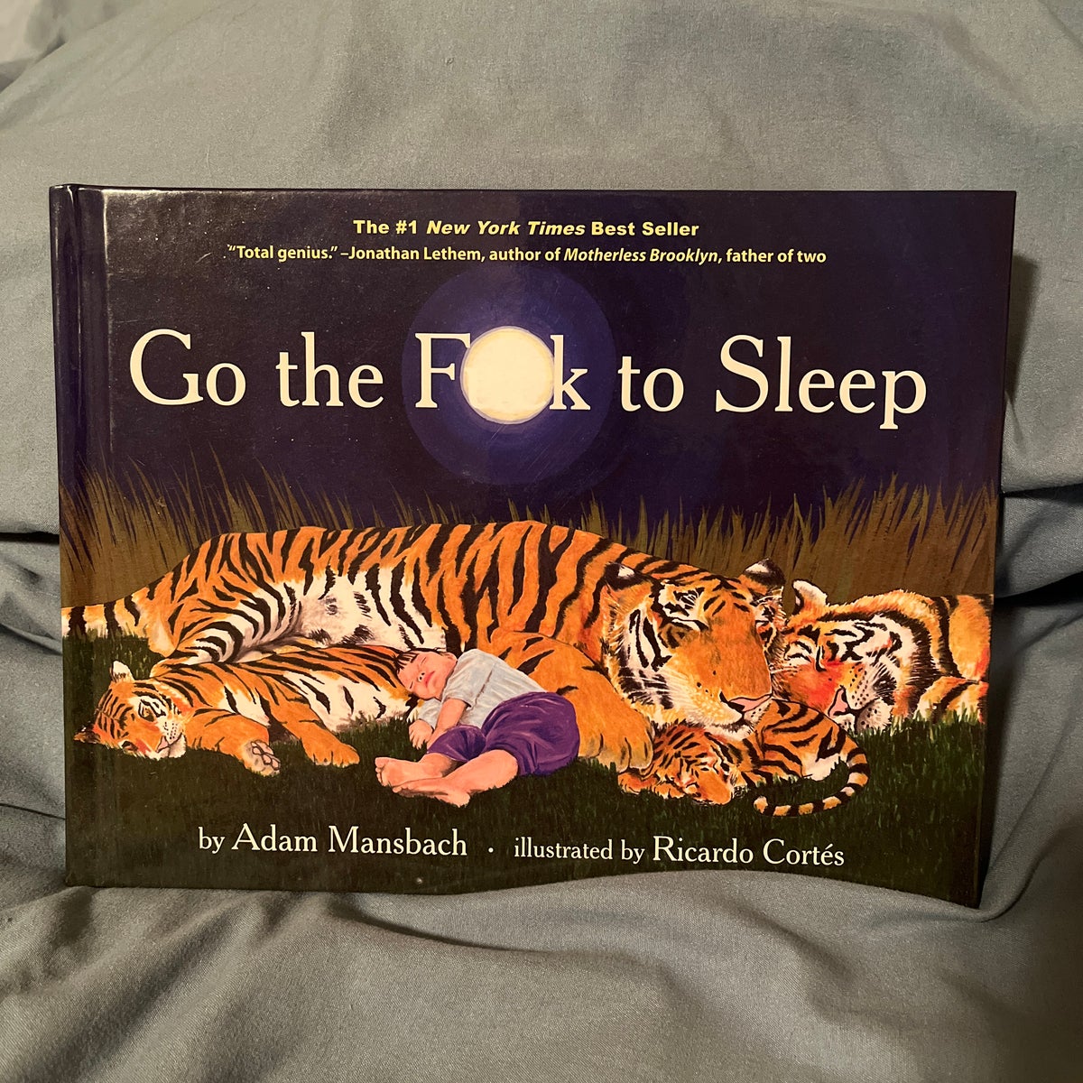 Go the F**K to Sleep