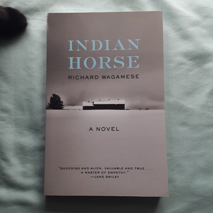 Indian Horse