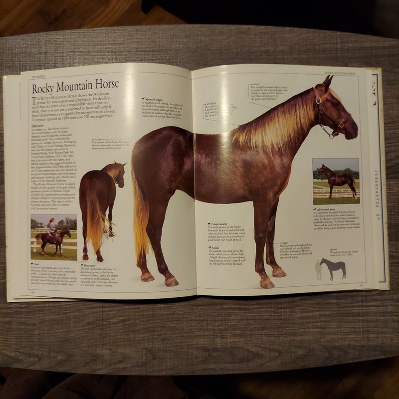 The Ultimate Horse Book by Elwyn Hartley Edwards, Hardcover | Pango Books