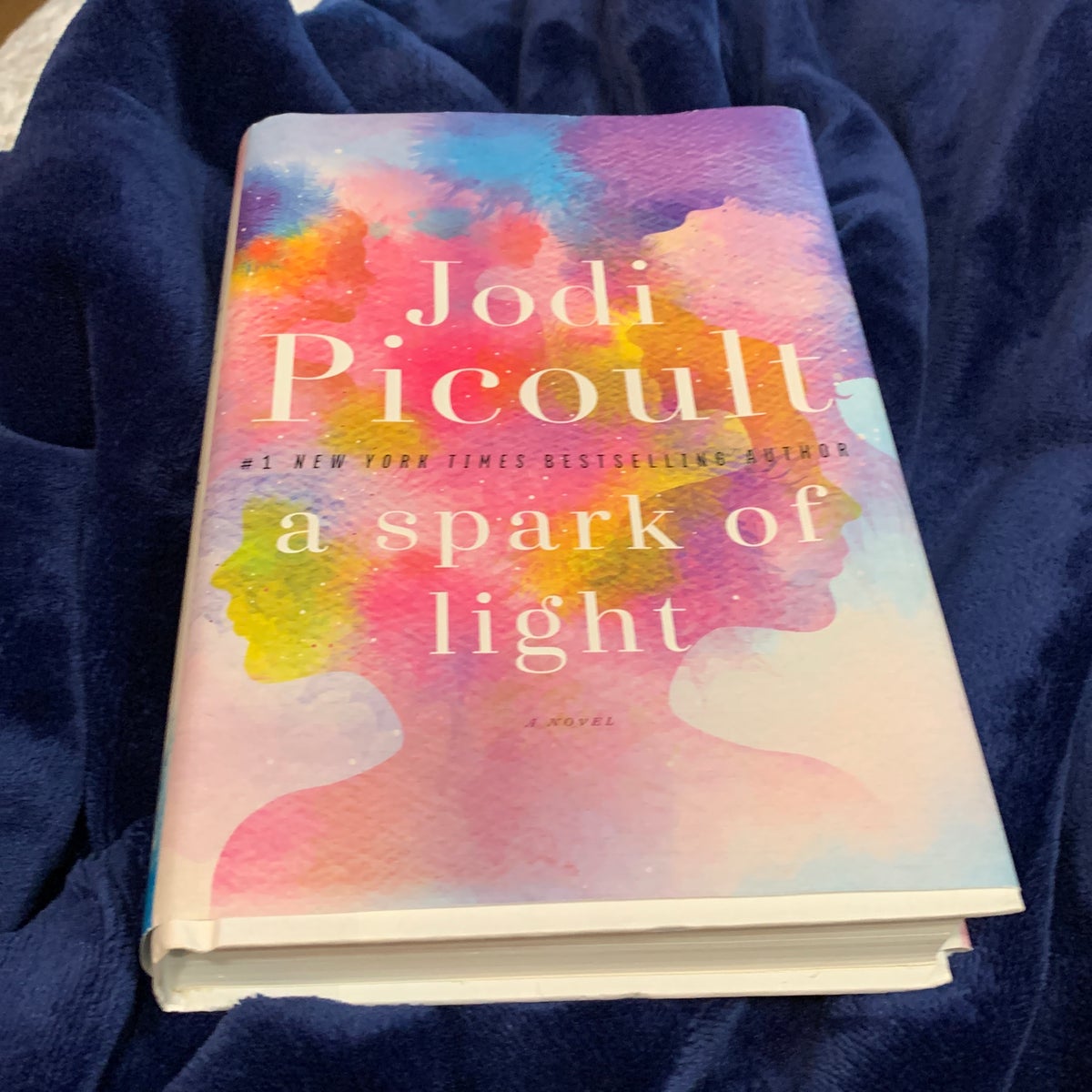 A Spark of Light by Jodi Picoult