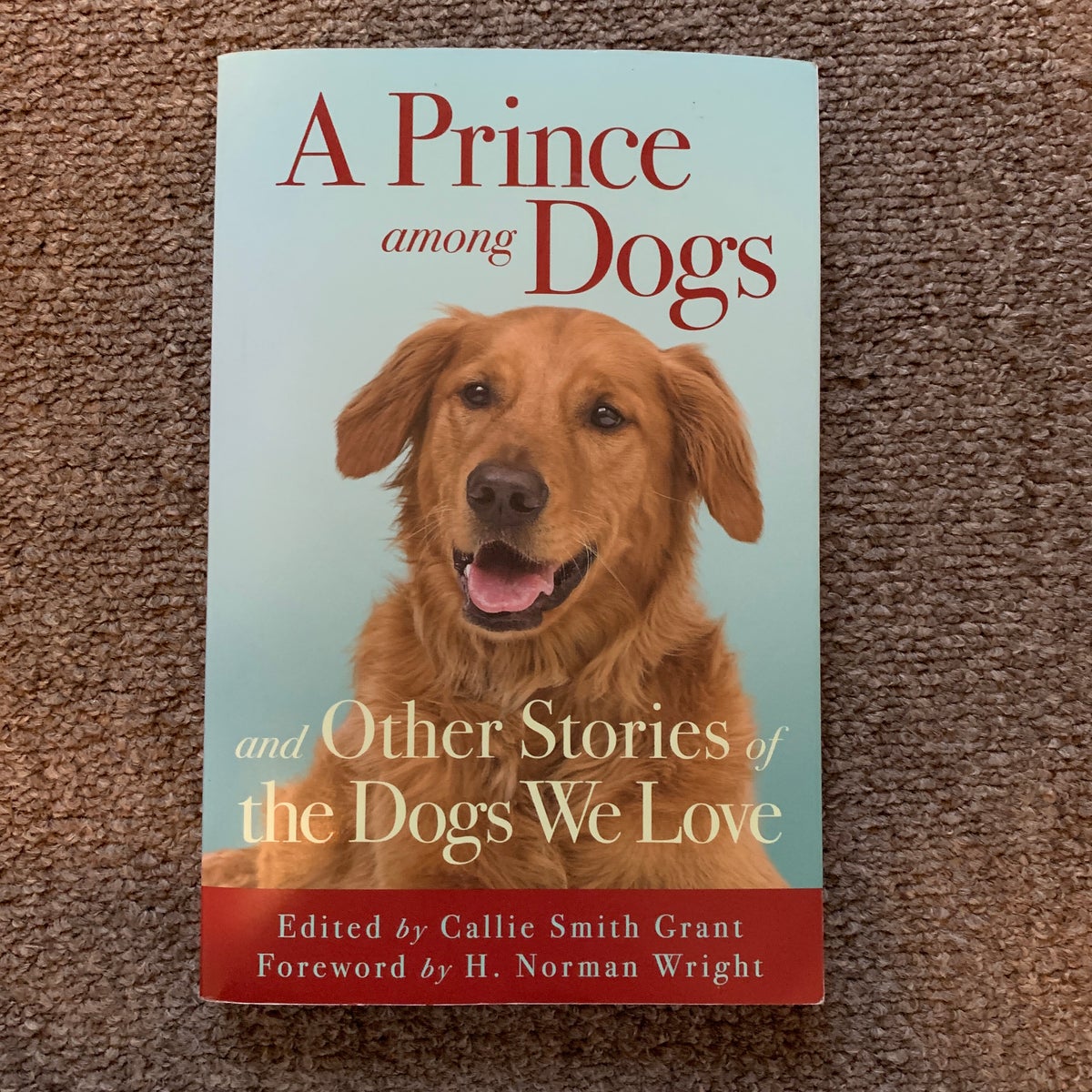 A Prince among Dogs by H. Wright