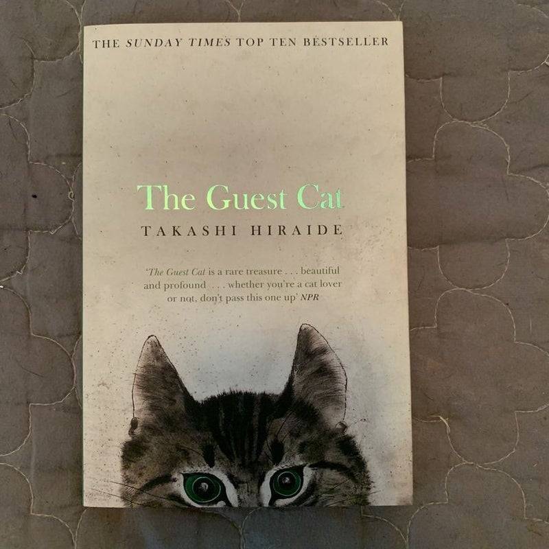 The Guest Cat