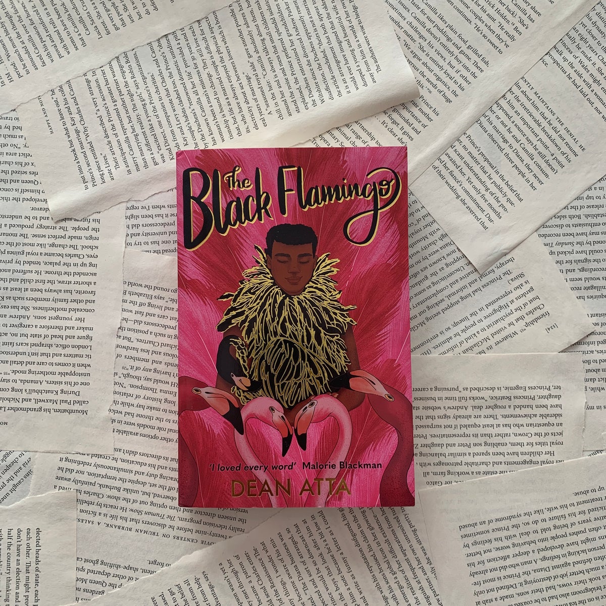 The Black Flamingo by Dean Atta, Paperback | Pangobooks