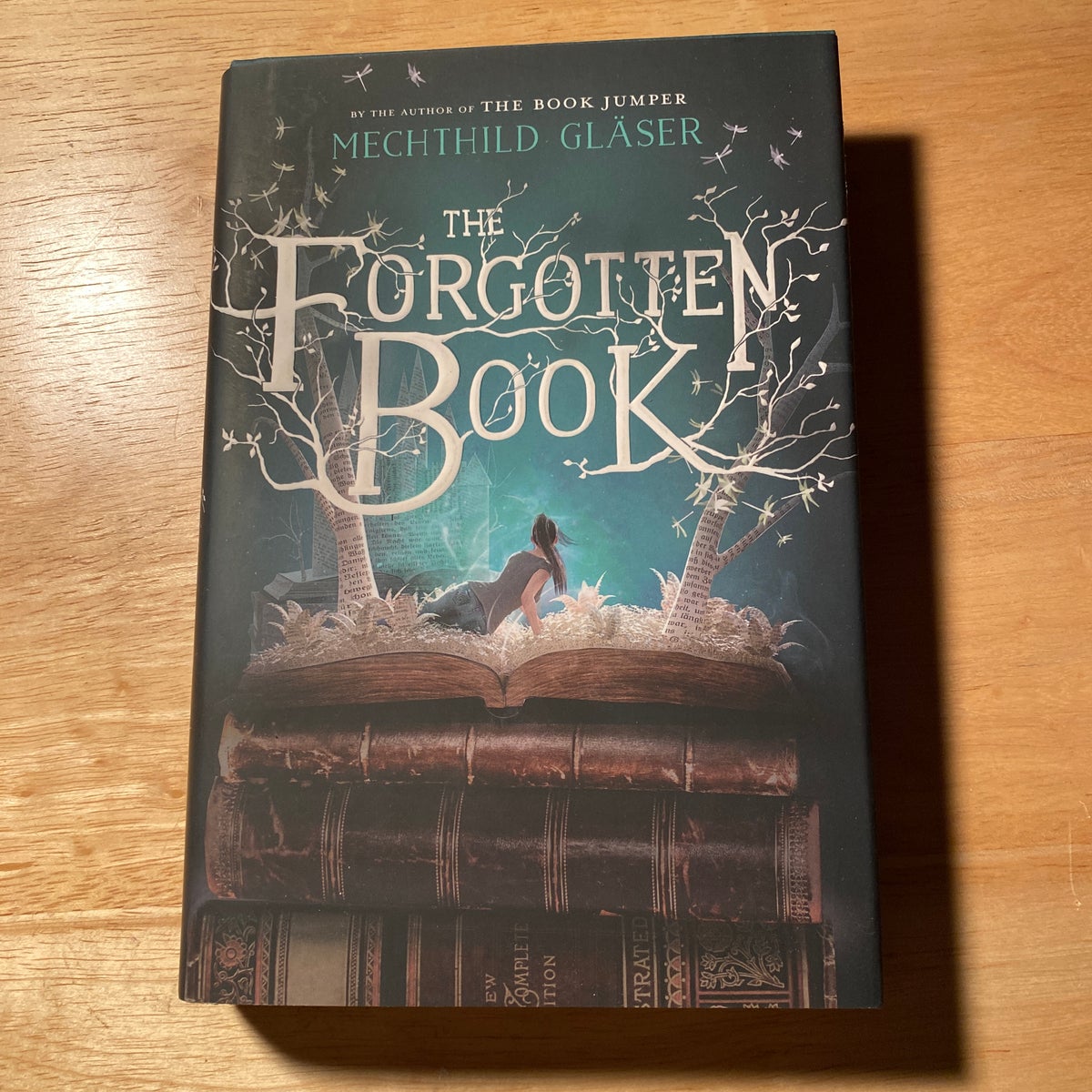 The Forgotten Book by Mechthild Glaser, Hardcover | Pangobooks