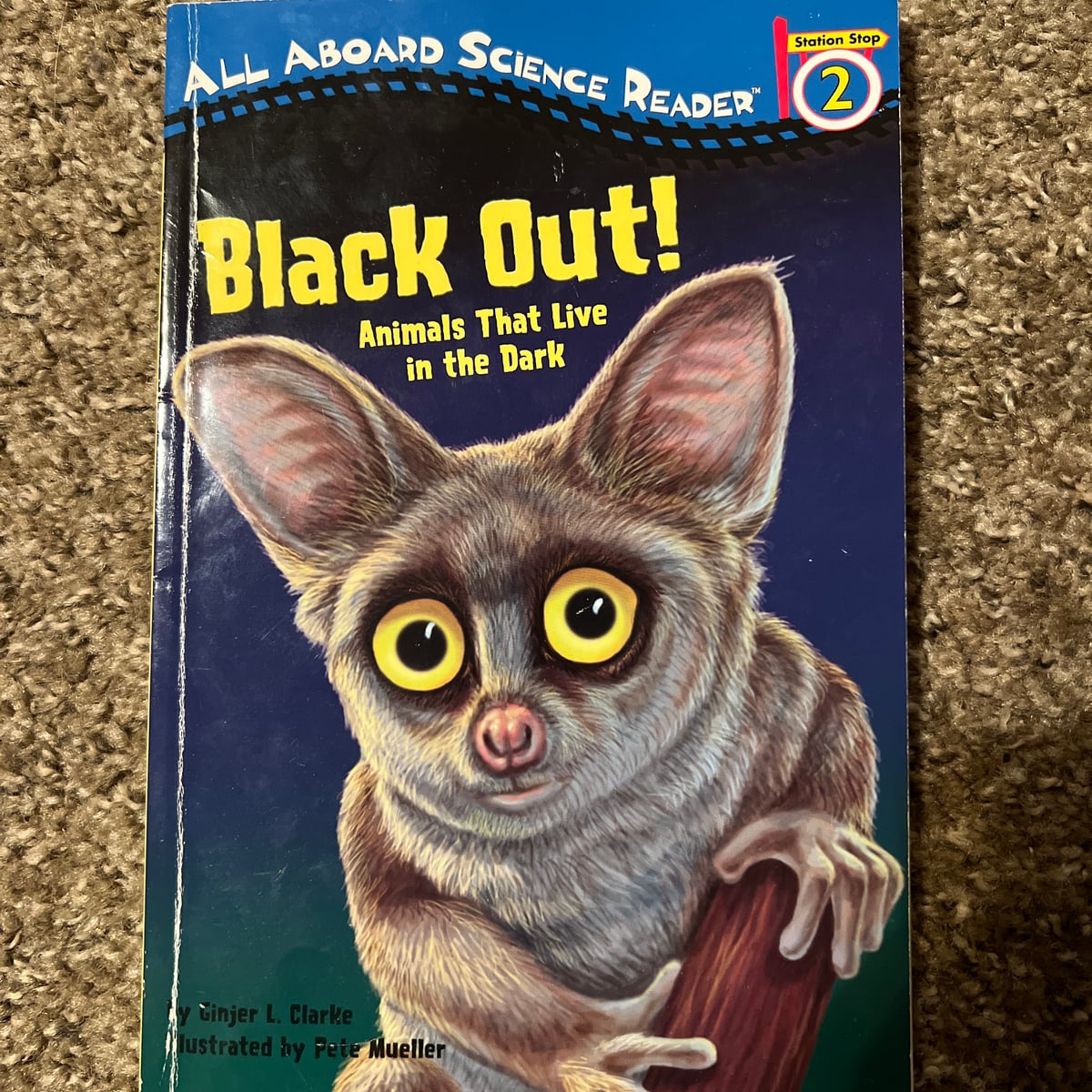 Black Out!: Animals That Live in the Dark by Ginjer L. Clarke