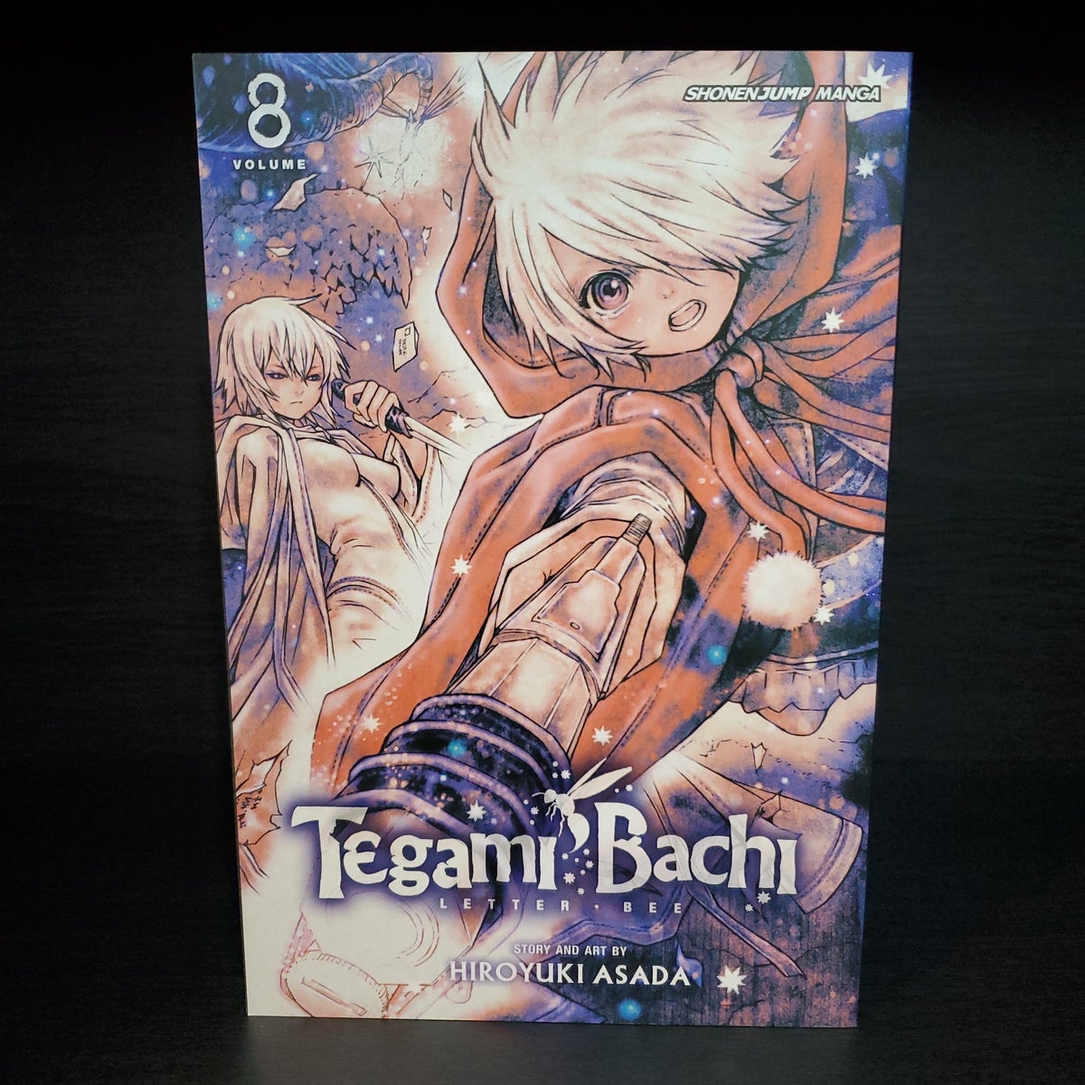 Tegami Bachi, Vol. 8 by Hiroyuki Asada