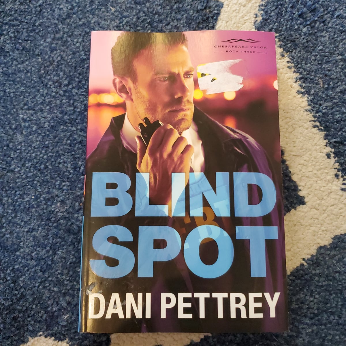 Blind Spot by Dani Pettrey, Paperback | Pangobooks