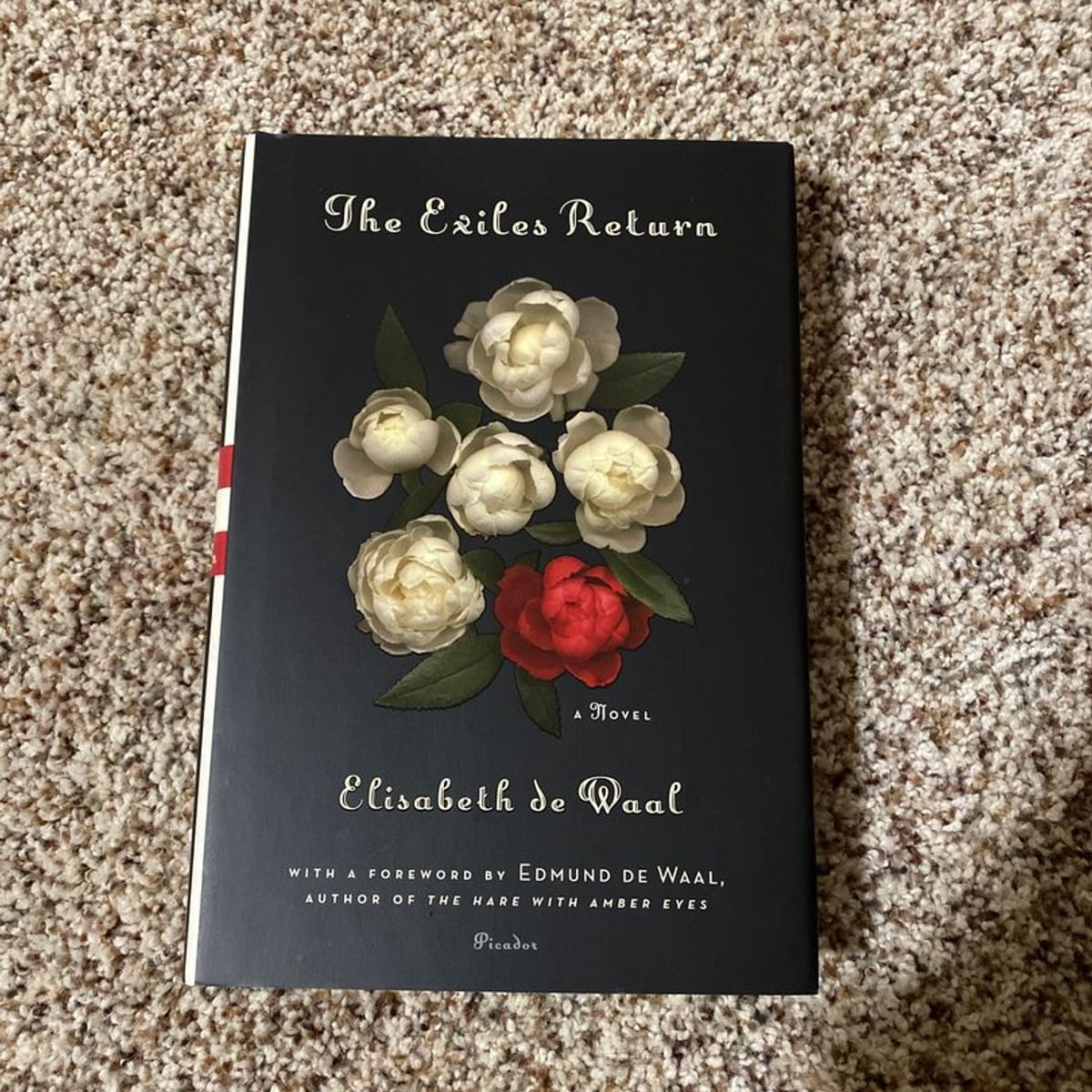The Exiles Return by Elisabeth de Waal, Edmund De Waal
