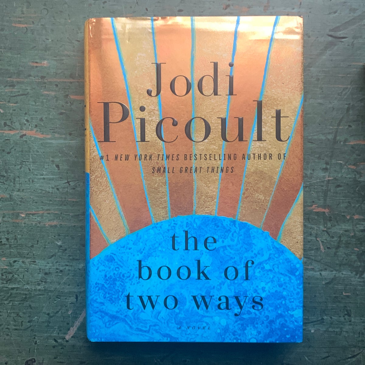 The Book of Two Ways by Jodi Picoult