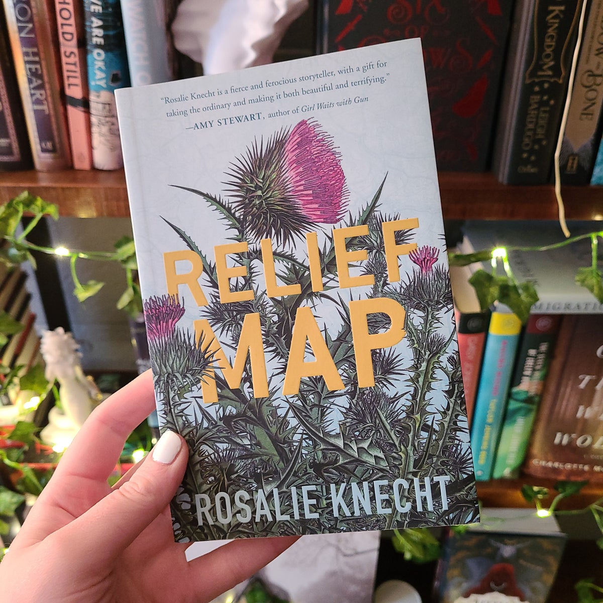 Relief Map by Rosalie Knecht