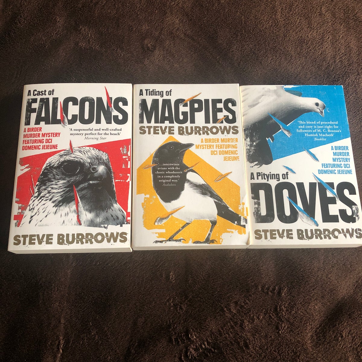 A Cast of Falcons by Steve Burrows