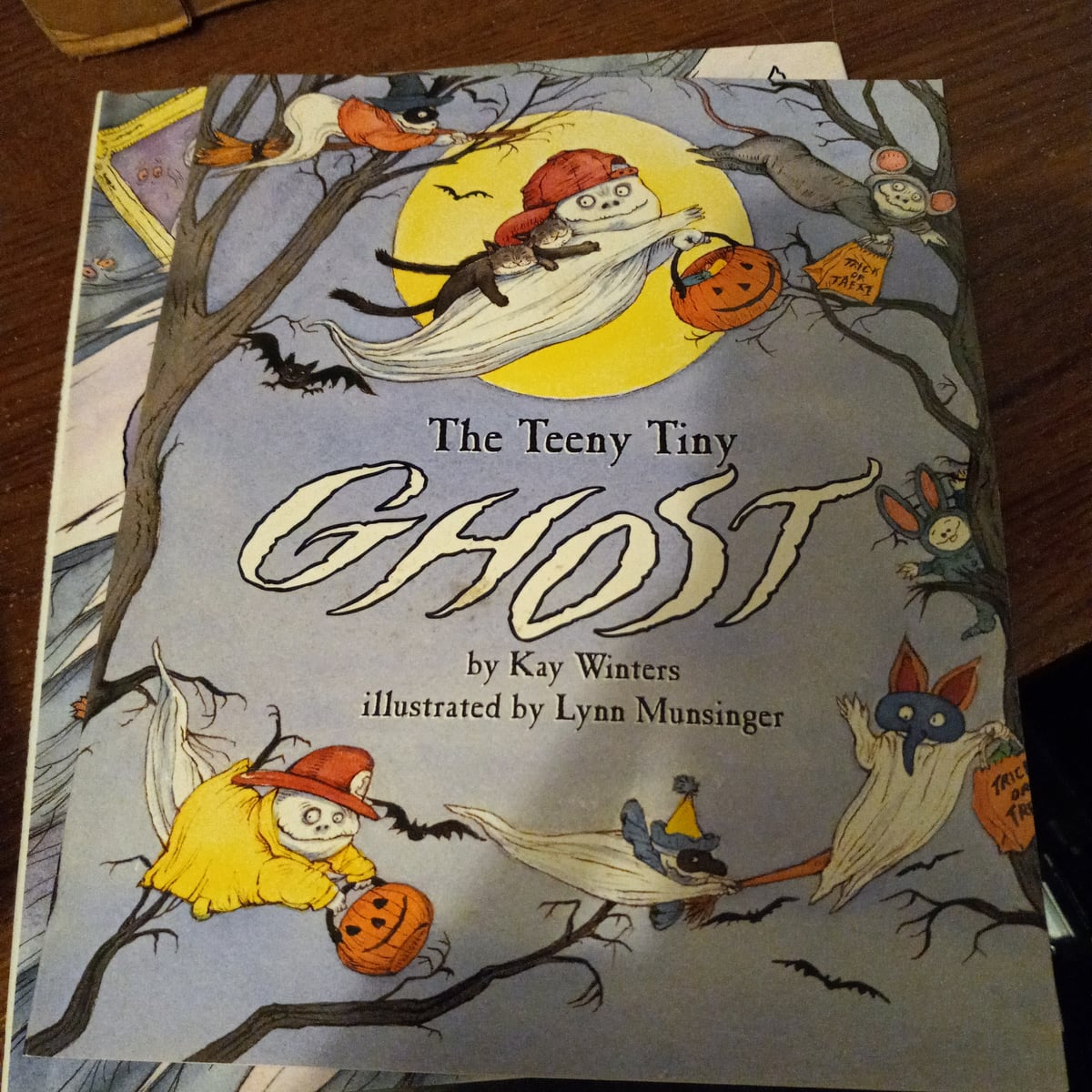 The Teeny Tiny Ghost by Kay Winters
