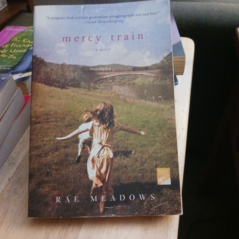 Mercy Train by Rae Meadows