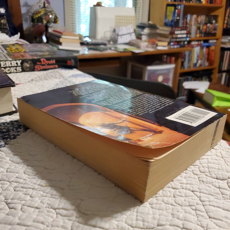 The Eye of the Hunter by Dennis L. McKiernan