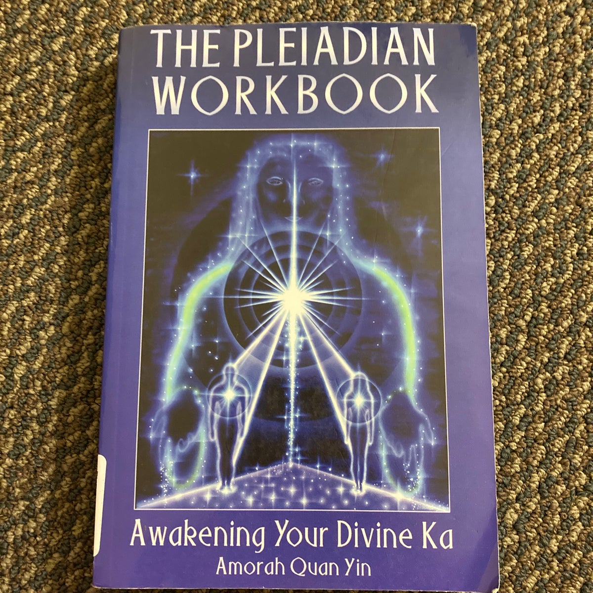 The Pleiadian Workbook by Amorah Quan Yin