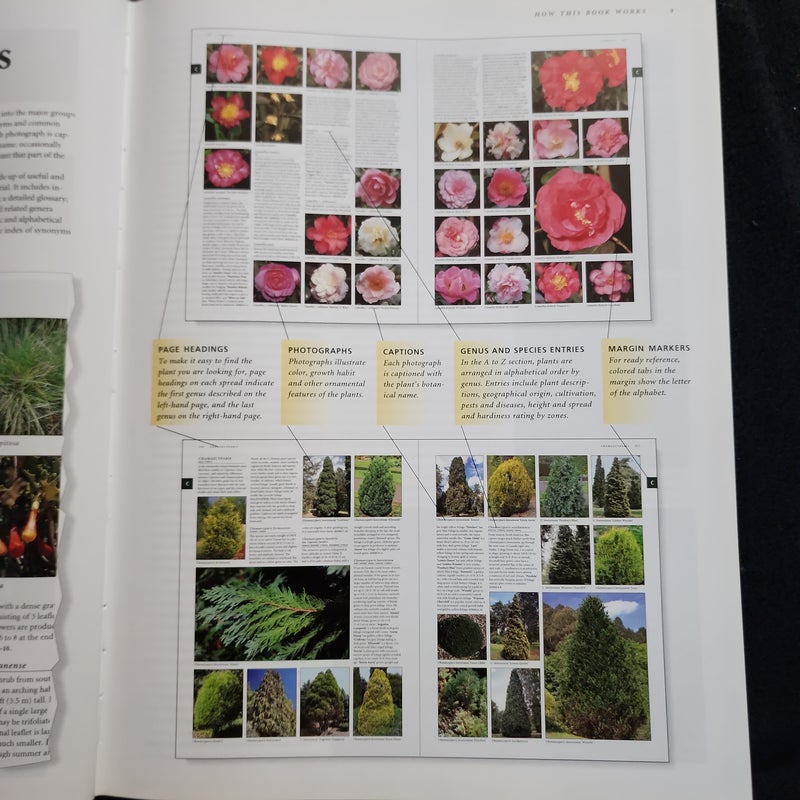 The Plant Book by James Mills Hicks, Hardcover | Pangobooks