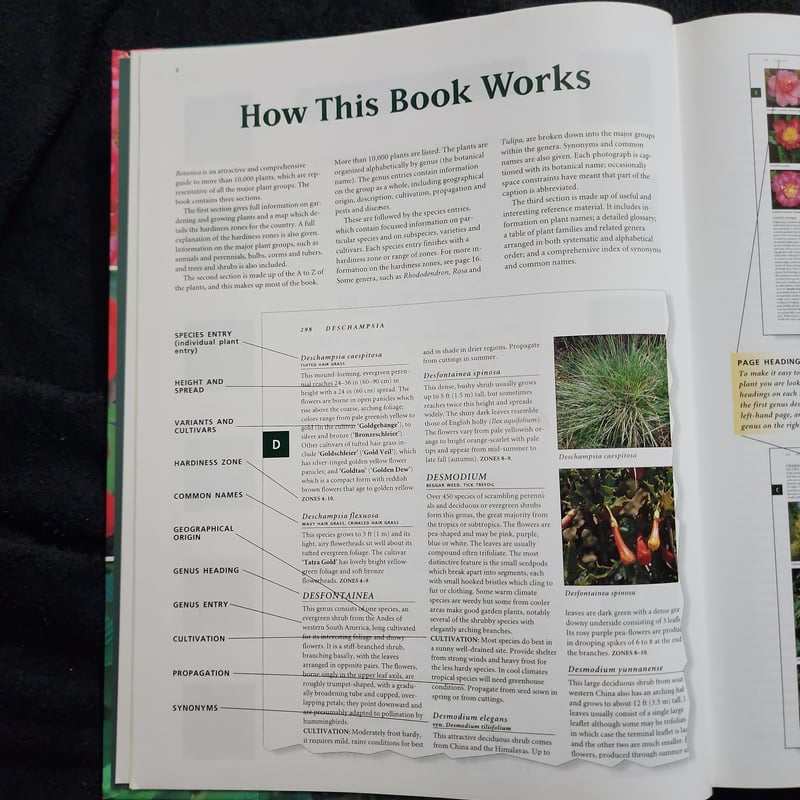 The Plant Book by James Mills Hicks, Hardcover | Pangobooks