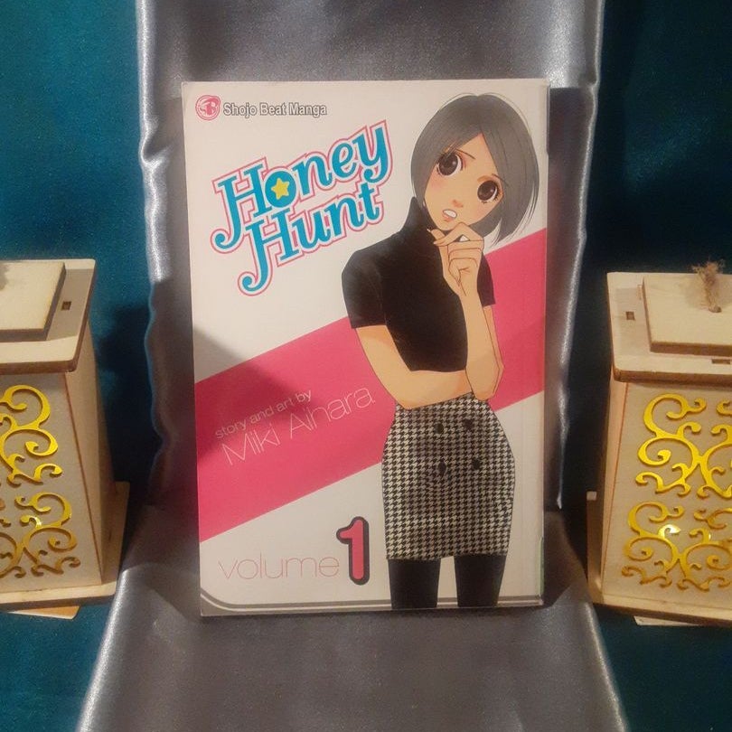 Honey Hunt, Vol. 1