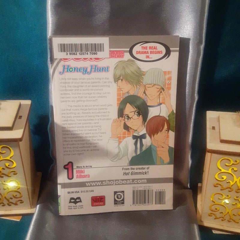 Honey Hunt, Vol. 1