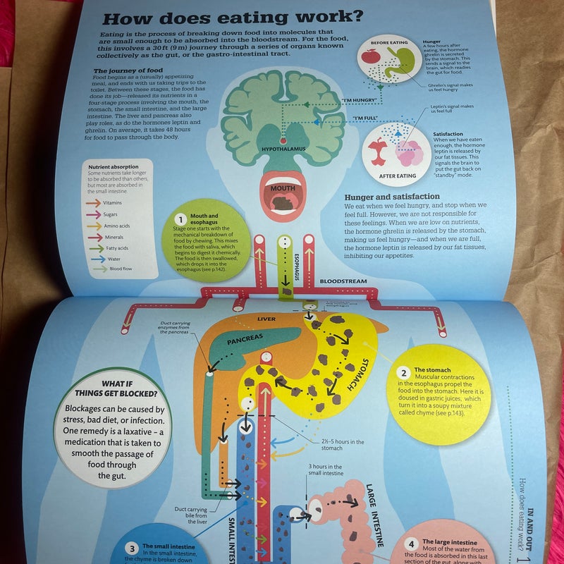 How the Body Works by DK, Hardcover | Pangobooks
