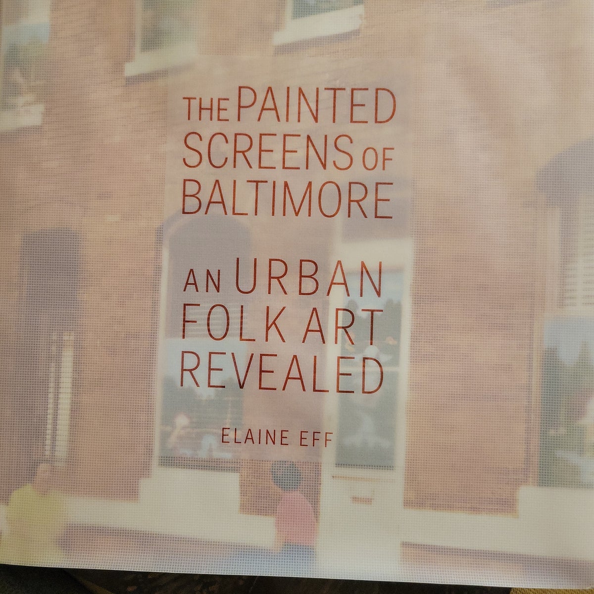 The Painted Screens of Baltimore by Elaine Eff