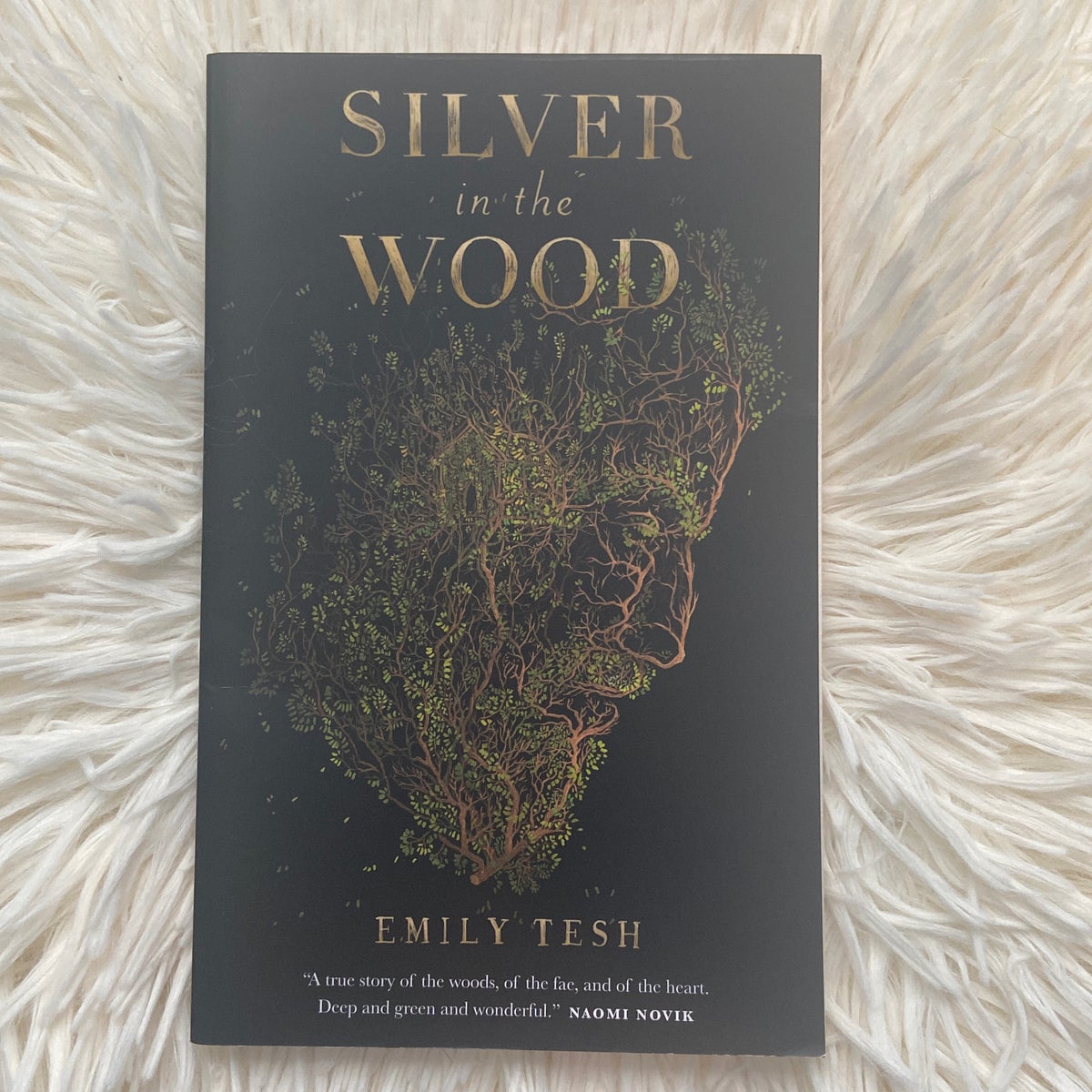 Silver in the Wood by Emily Tesh