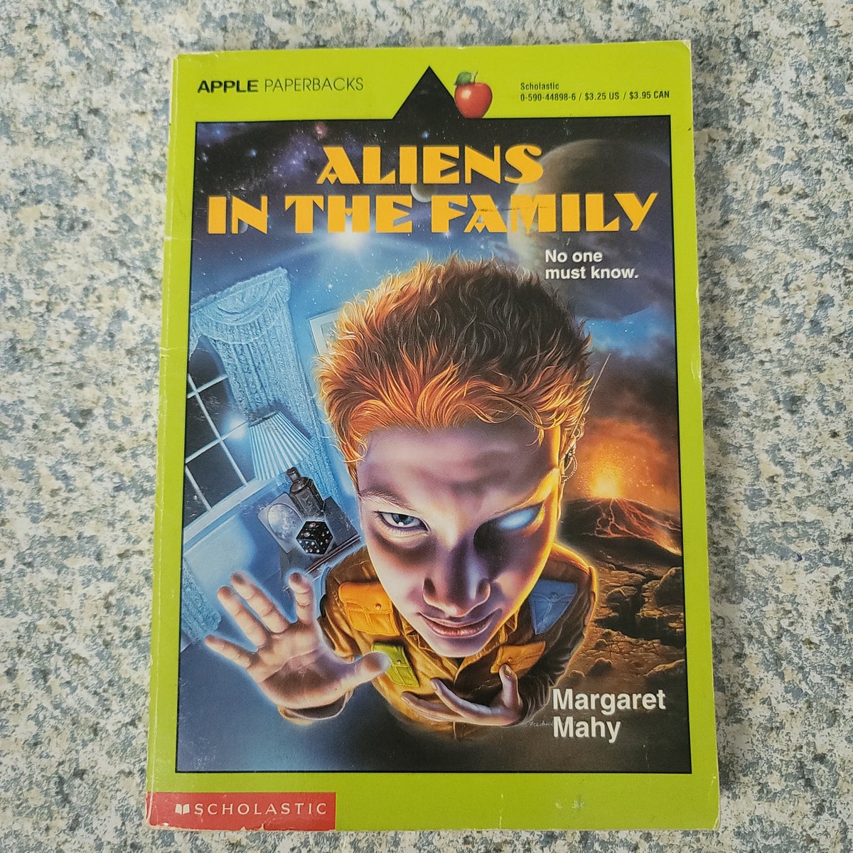 Aliens in the Family by Margaret Mahy