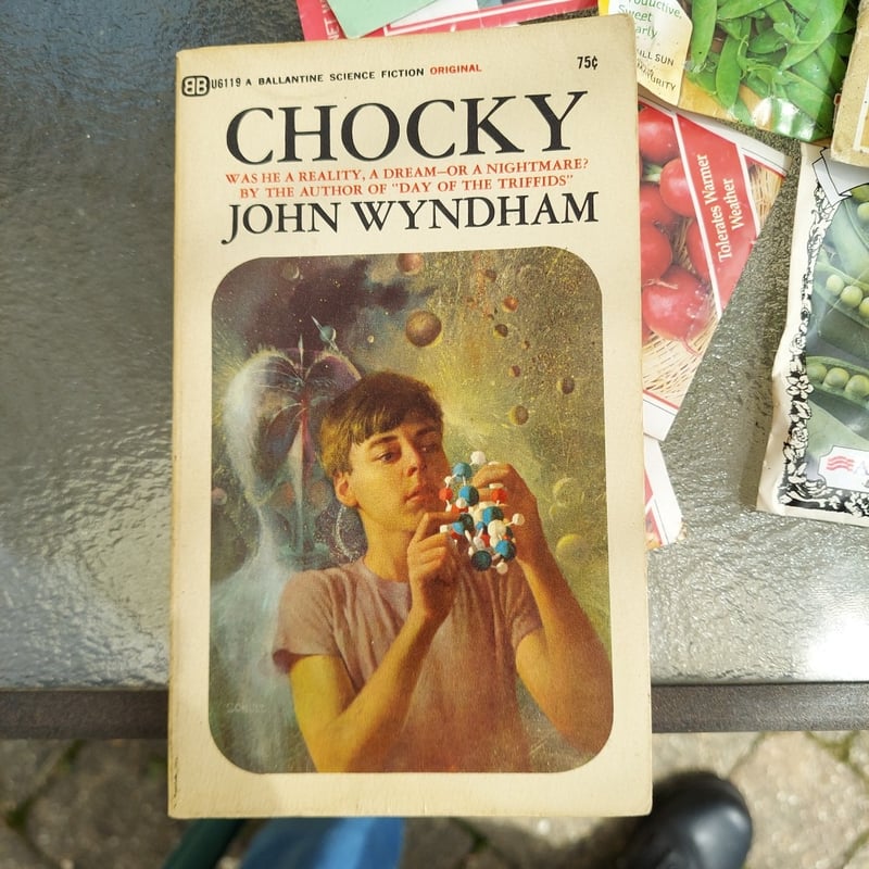Chocky by John Wyndham , Paperback | Pangobooks